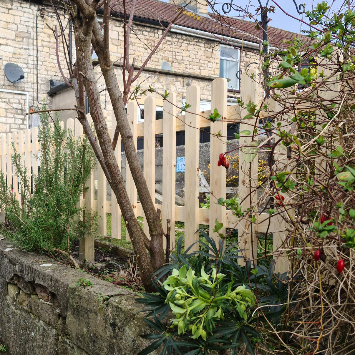 Natural with Rounded Tops – The Picket Fence Company