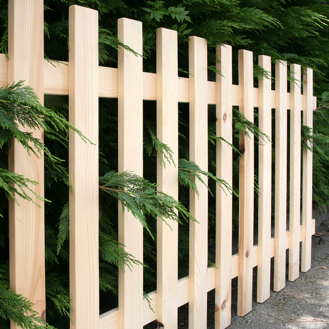 Natural with Flat Tops. – The Picket Fence Company